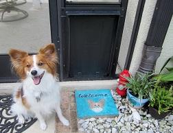 Dog Door Decor Ideas | Homemade Pet Door Decoration