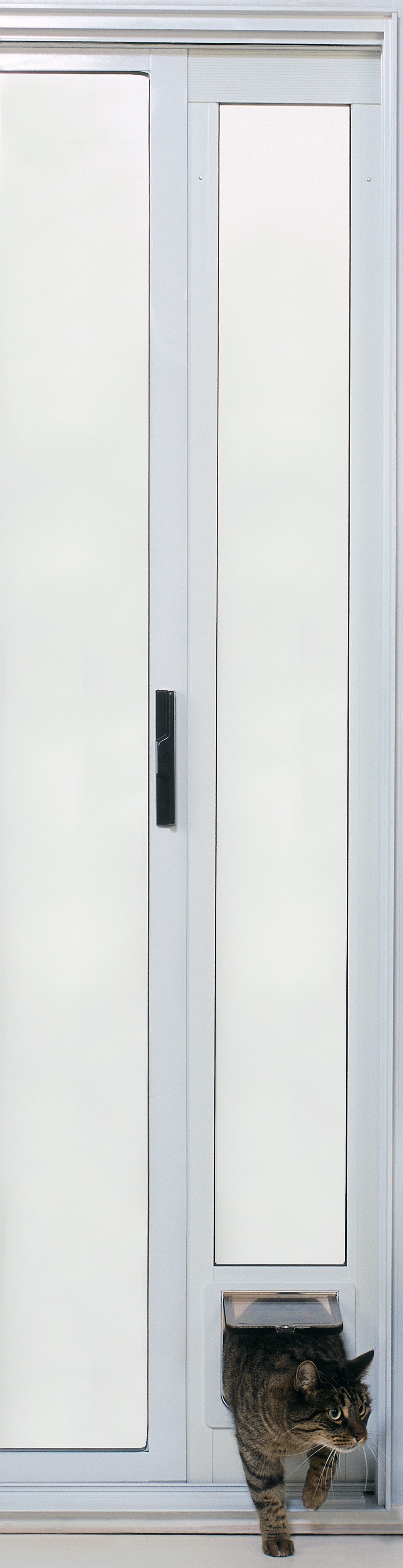 Amazing Sliding Door Cat Door Gallery