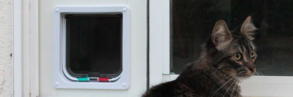 Whiskers & Windows: Easy, No-Drill Cat Door for Windows