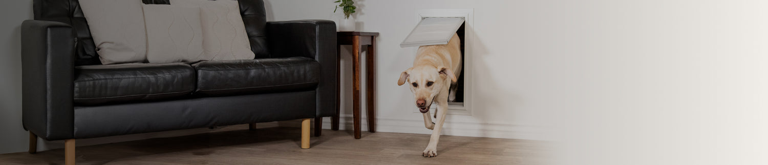 Dog Doors | Pet Doors | Cat Doors | All Sizes & Types – PetDoors.com