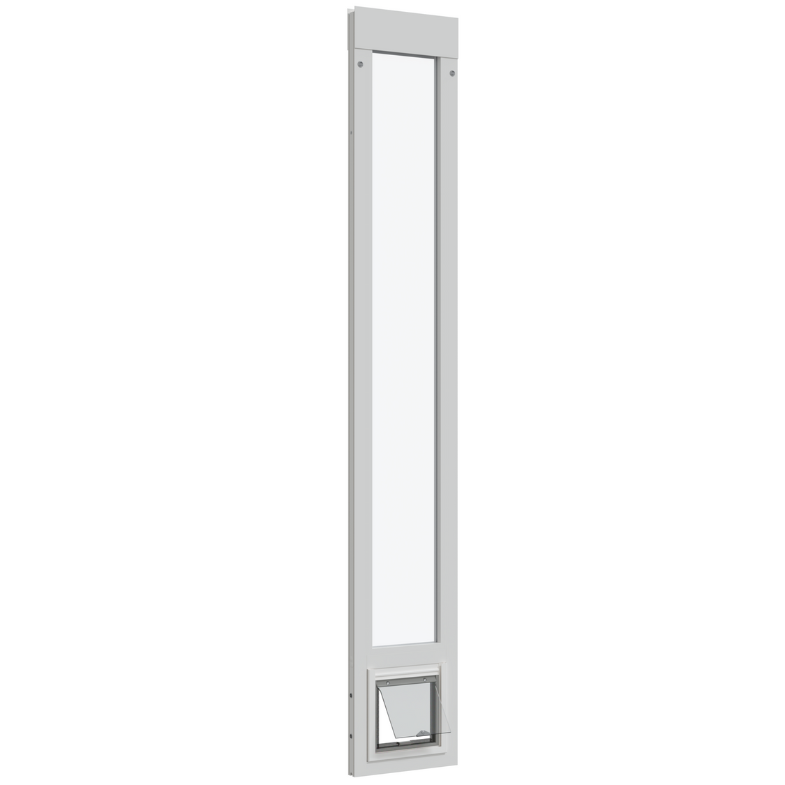 Find the Perfect Cat Door: Enhance Your Pet's Independence – PetDoors.com