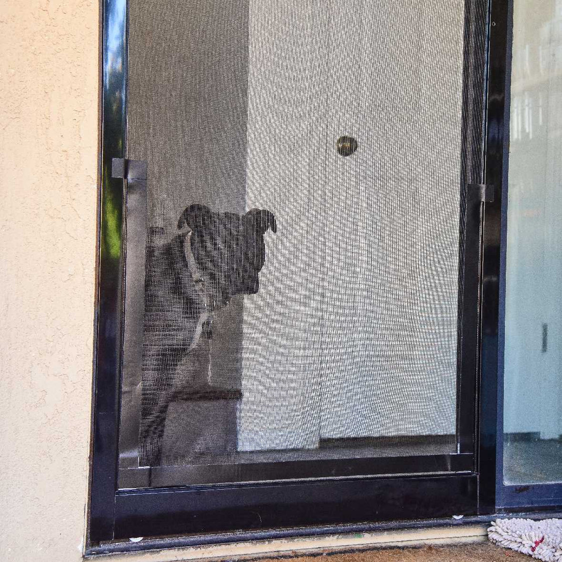 Screen Pet Door Conversion Kit | Universal Screen Fit – PetDoors.com